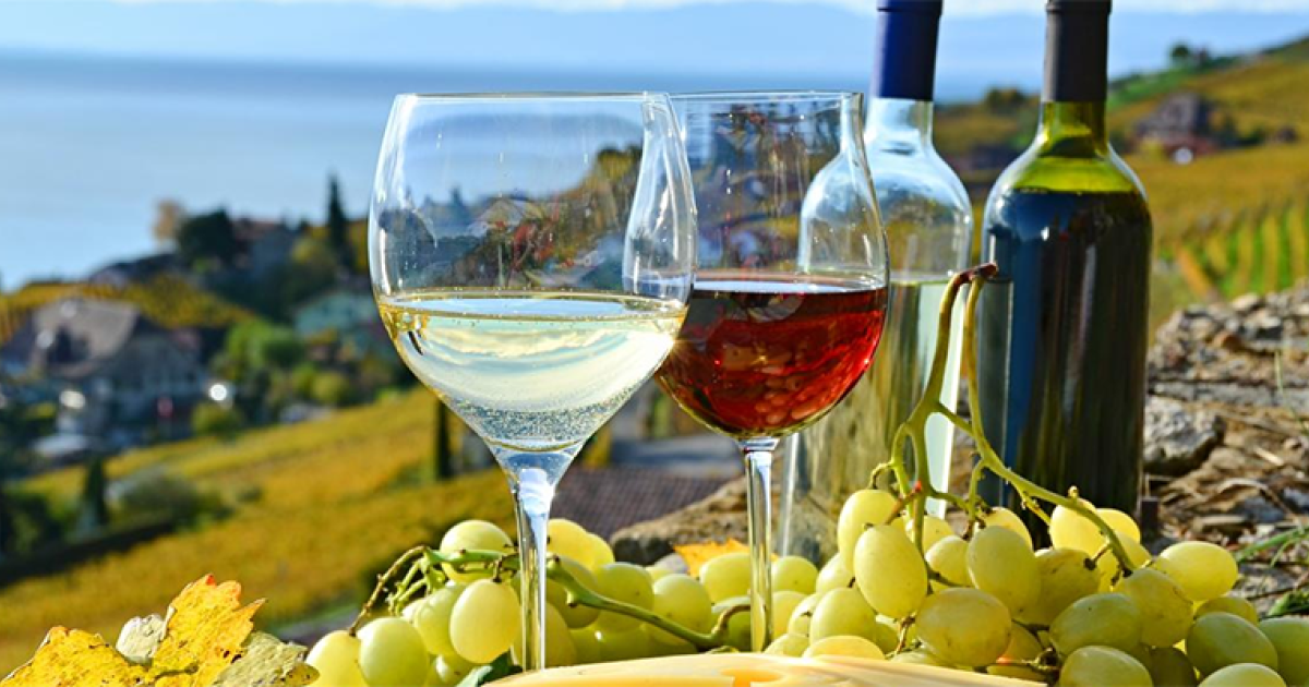 La conferencia final del proyecto DIGI-ECONAFACUGAS destaca el impacto de la digitalización en ...